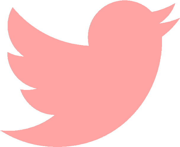 Homepage Icon Twitter - Pink Twitter Icon Png (616x524), Png Download
