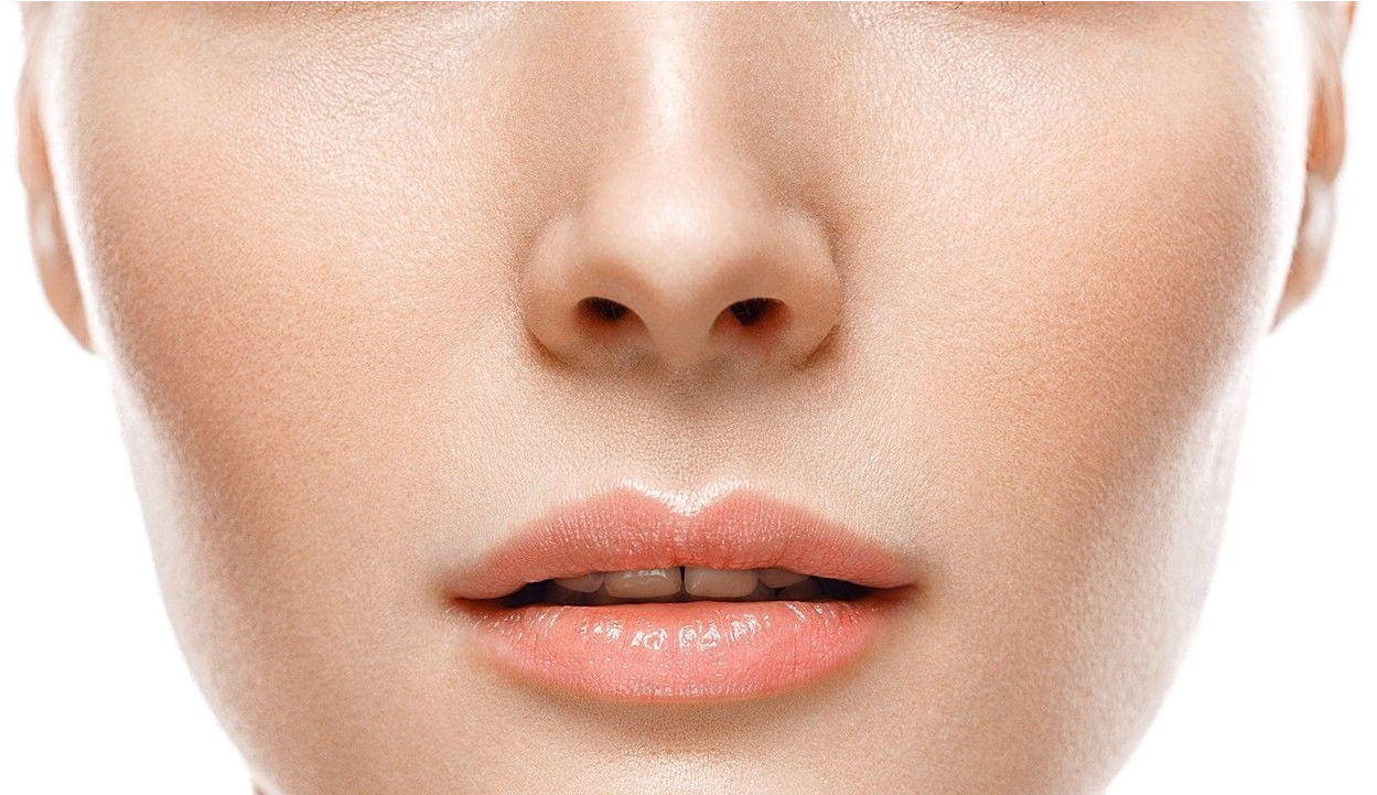 Nose Png Image Background - Transparent Background Png Nose (1280x720 ...