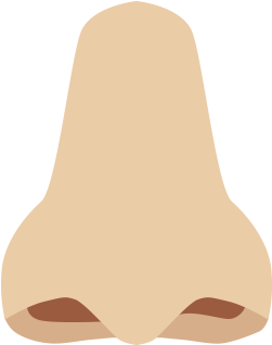 Nose Png Picture - Transparent Background Nose Clipart (577x442), Png ...