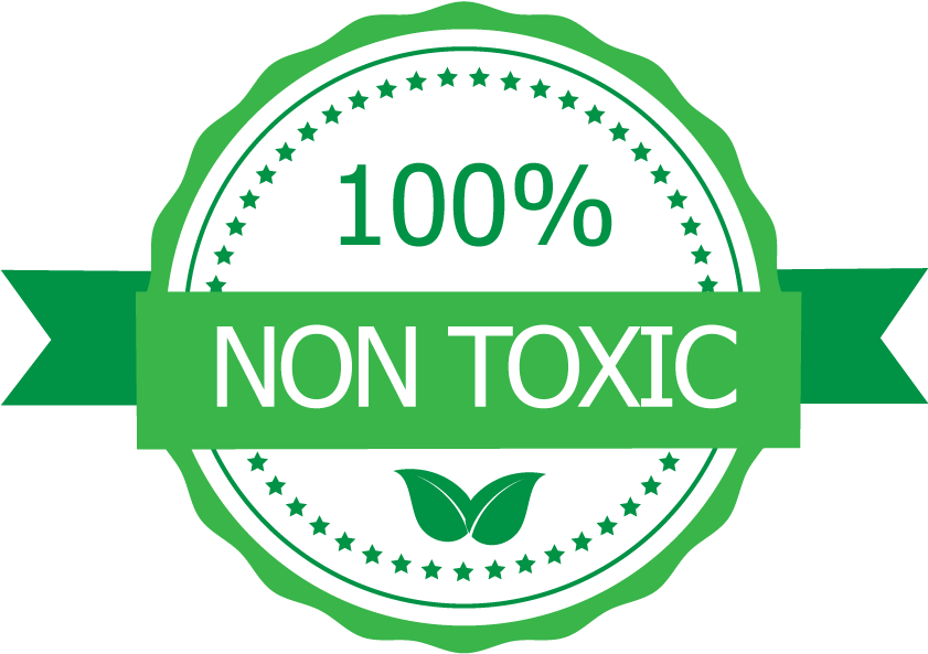Full - Non Toxic Logo Png (880x634), Png Download