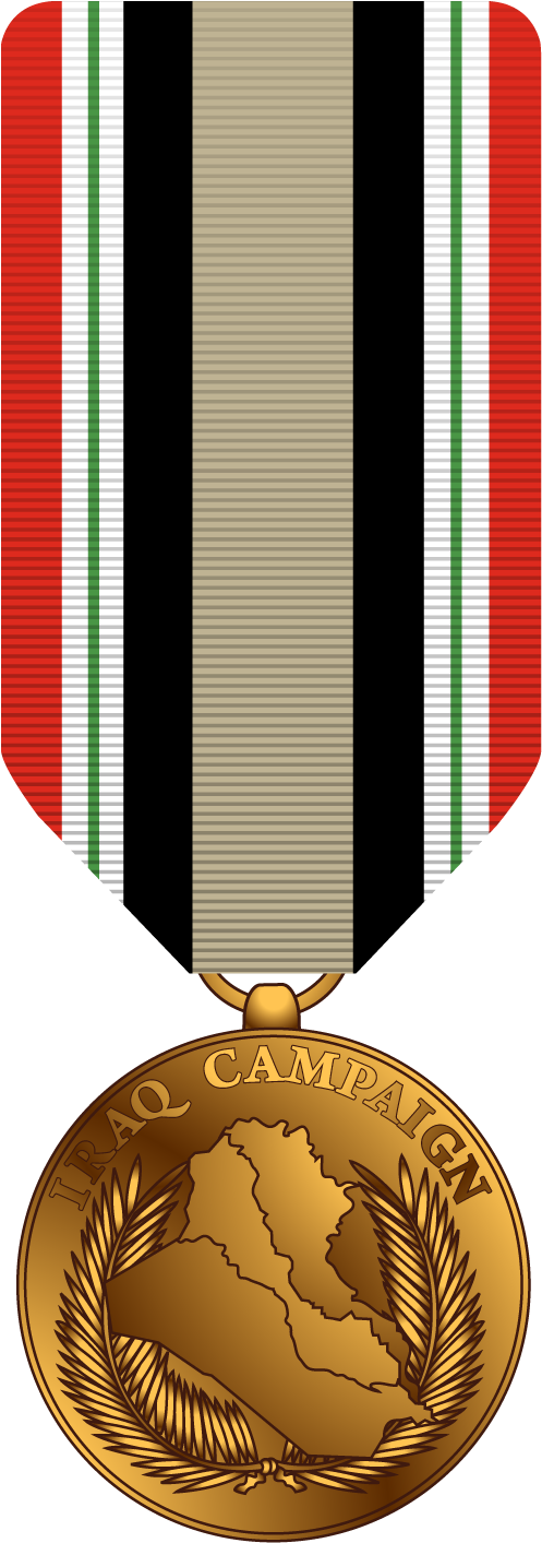 Iraq Campaign Military Medal - Gold Medal (504x1421), Png Download