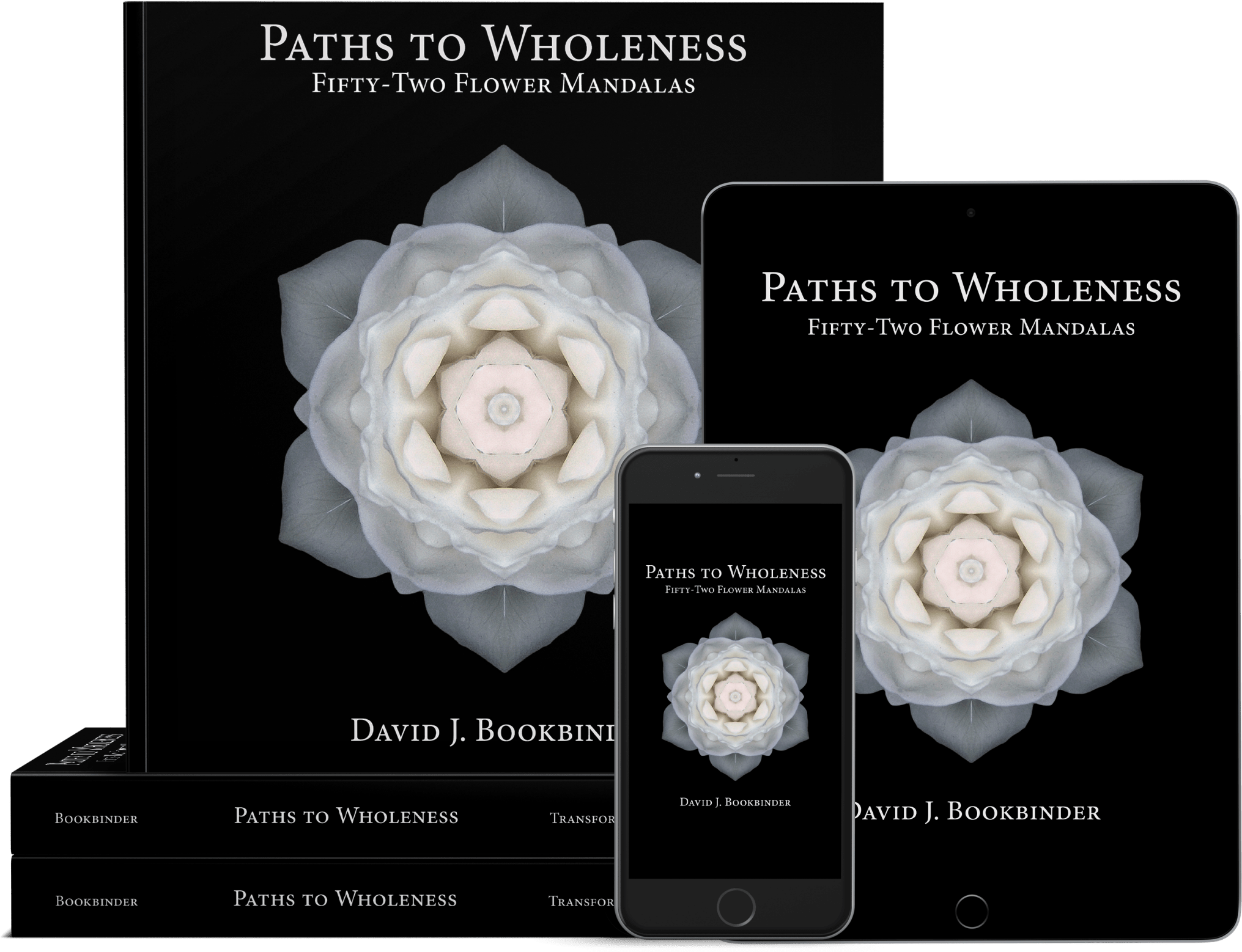 Paths To Wholeness Book, Ipad, And Iphone Mockup, Cropped - David ...