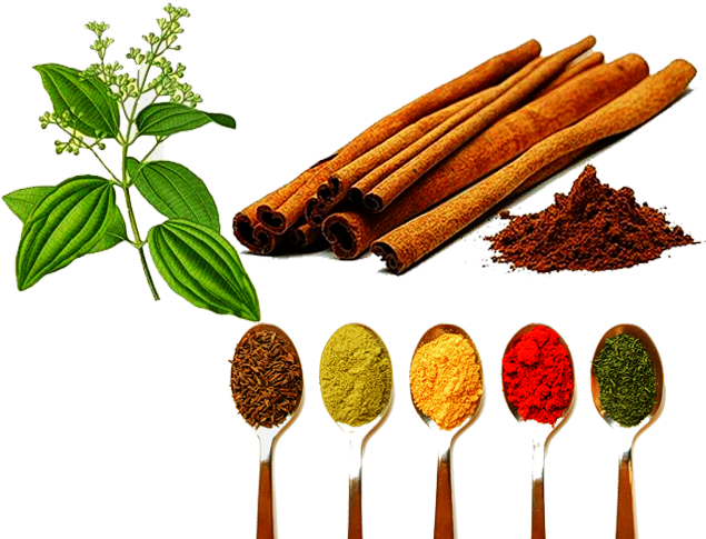 Spices Png Images (650x550), Png Download