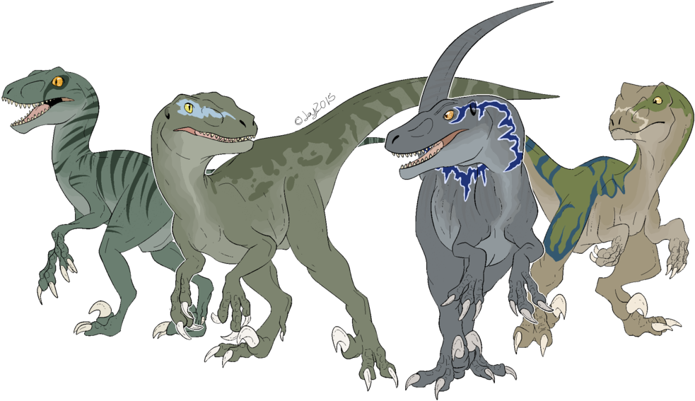Download Velociraptor Drawing Jurassic Park Toronto Raptors - Raptor ...