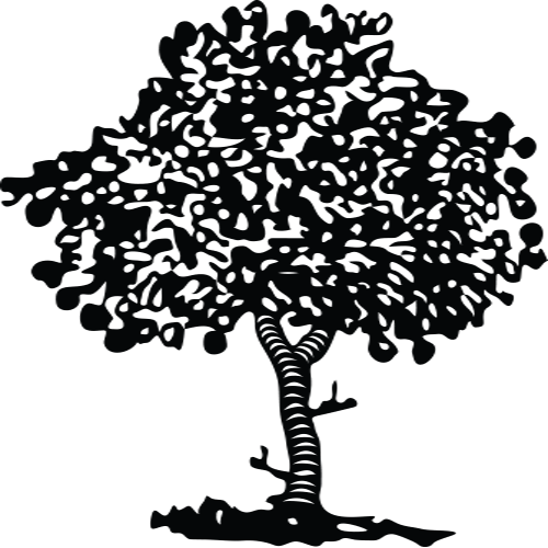 Apple Tree Partners - Apple Tree Partners Logo (500x500), Png Download