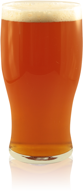 Craft Beer Png (500x702), Png Download