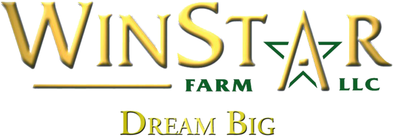 Winstar Dream Big Logo Transparent - Winstar Farm Logo Png (1000x667 ...