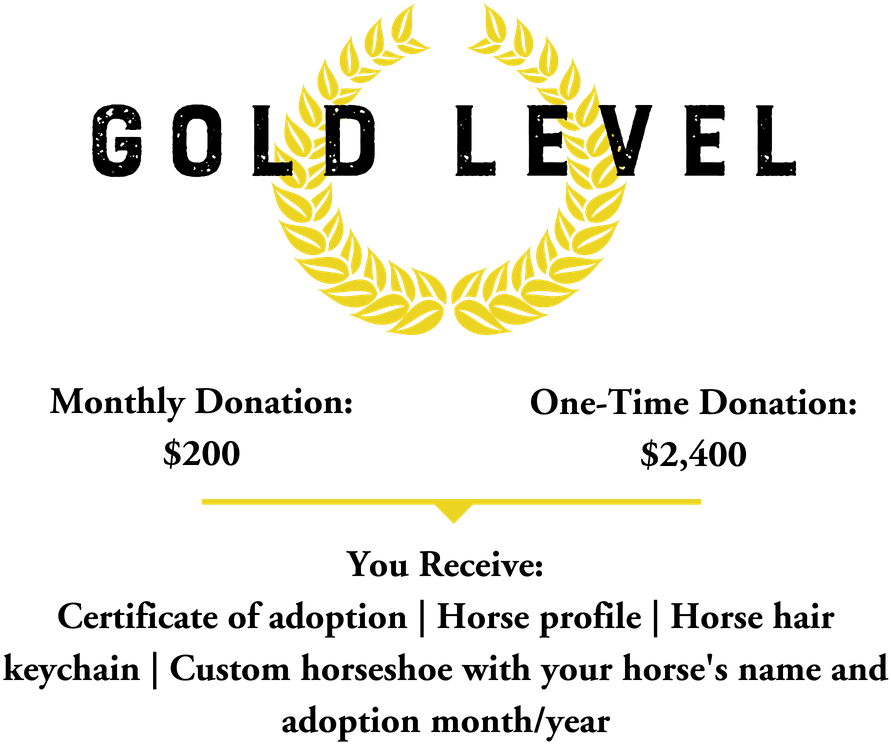 Gold Level - Circle (940x788), Png Download