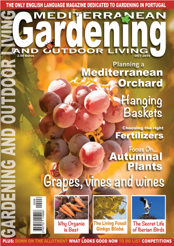 October (800x800), Png Download