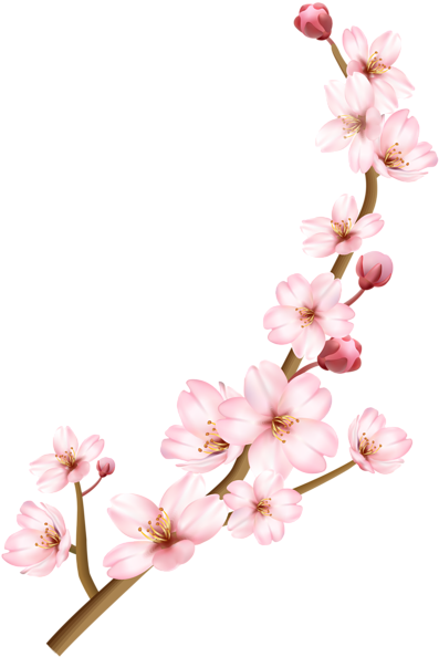 Spring Branch Transparent Png Clip Art Image - Transparent Cherry ...