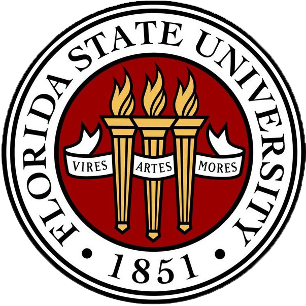 Professor And Chair, Department Of Electrical Engineering - Florida ...