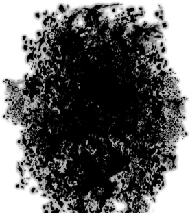 Master Shadow Artwork - Tree Top Down Silhouette (384x384), Png Download