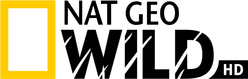 Download National Geographic Logo Transparent Wwwimgkidcom - Телеканал ...