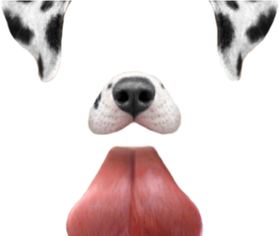 Download Snapchat Filters Clipart Dog - Transparent Snapchat Dog Filter ...