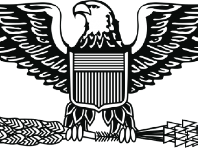 Related Posts - Army Colonel Rank (640x480), Png Download