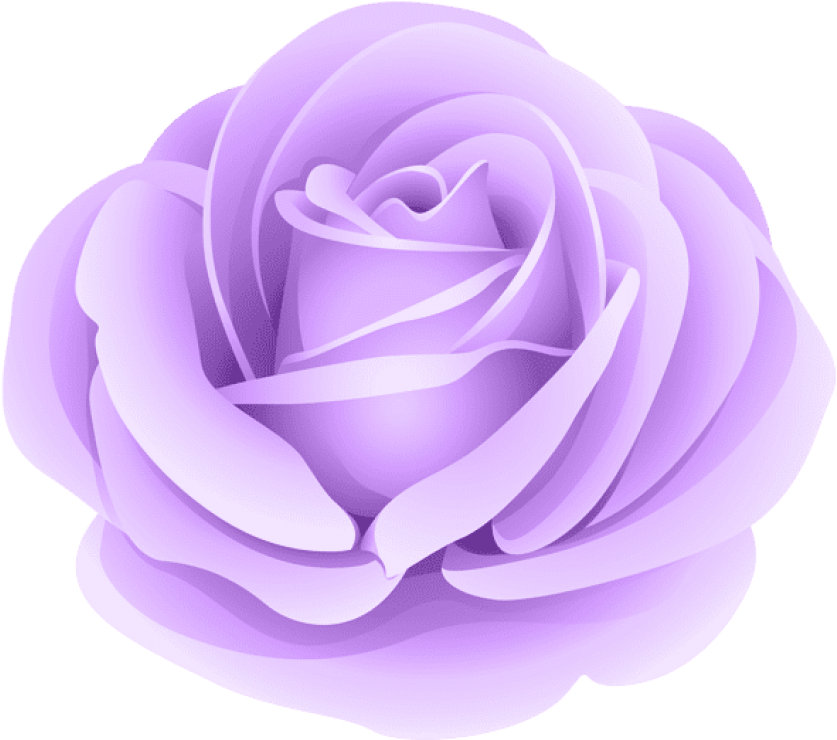 Download Free Png Download Rose Purple Transparent Png Images - Vector ...