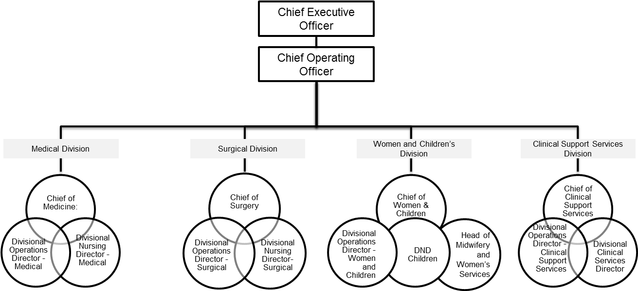 Organisational Structure - Diagram (1406x749), Png Download