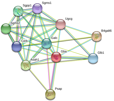 Circle (976x431), Png Download