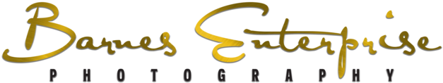 Barnes Enterprise Logo New (1000x400), Png Download