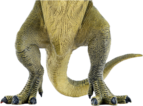 Dinosaur Legs Png (745x1000), Png Download