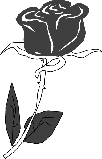 Black Rose Vector - Black Rose (331x517), Png Download