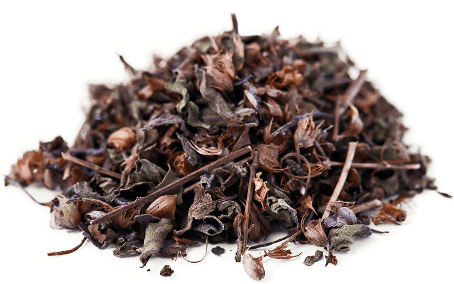 Organic Holy Basil Tulsi - Holy Basil (920x596), Png Download