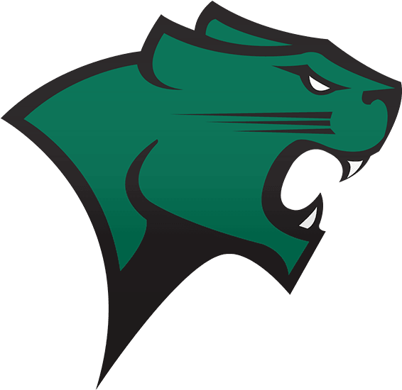 Chicago State - Chicago State University Mascot (800x800), Png Download