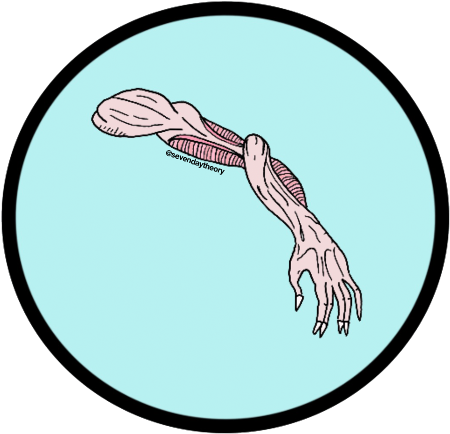 Alien Arm Logo T Shirt- Grey (1000x916), Png Download