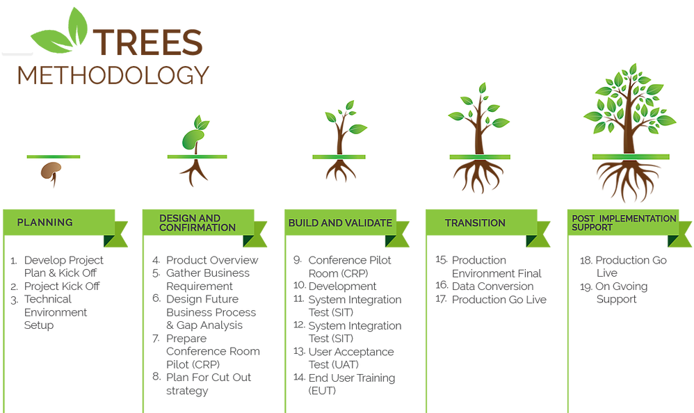 Contact Us - Tree (1002x660), Png Download