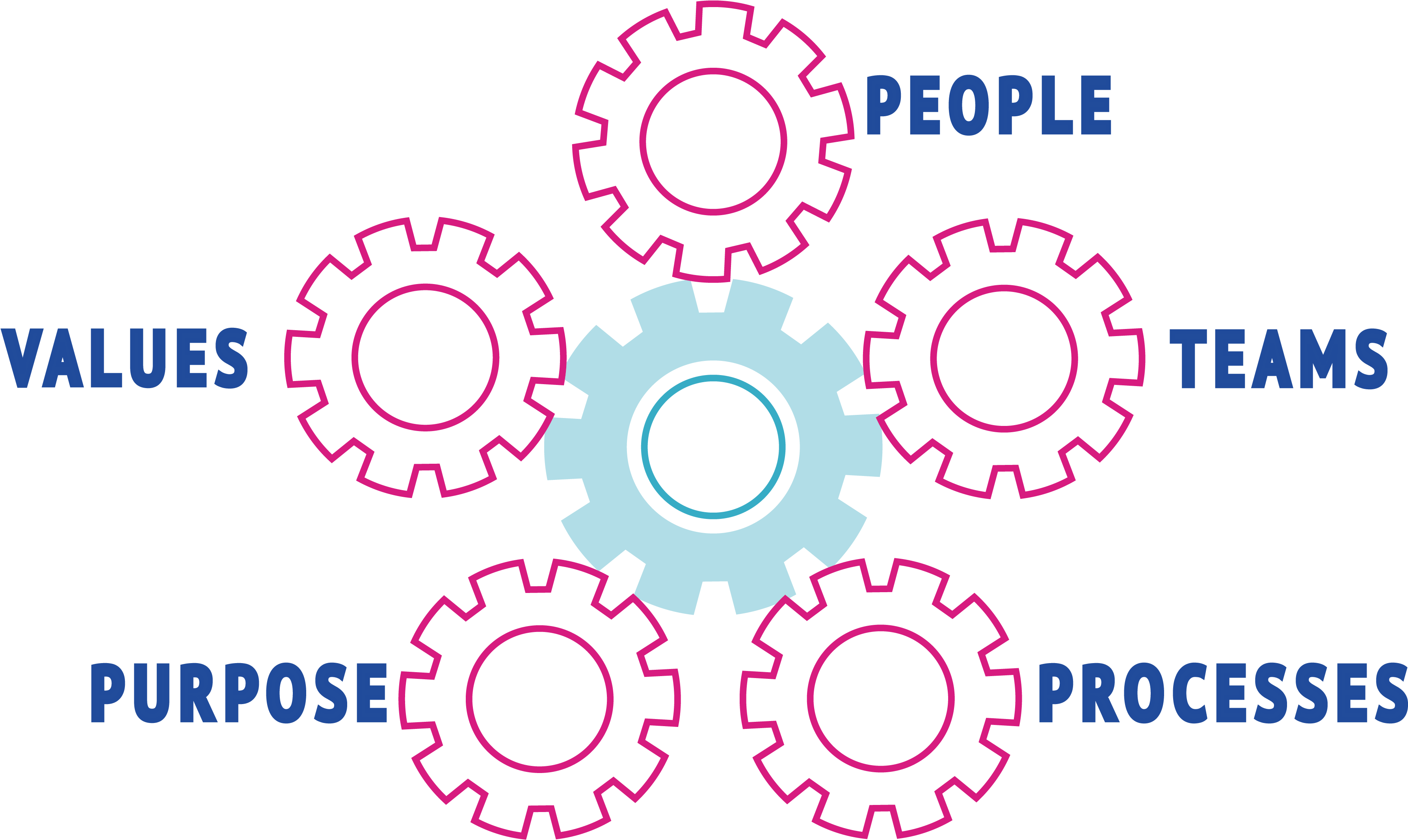 Download Cogs - Circle | Transparent PNG Download | SeekPNG