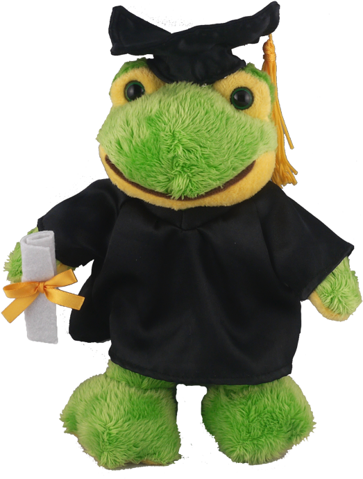Frog - Frog Graduation (597x709), Png Download