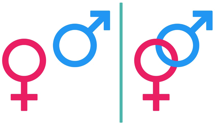 Download Gender Png Free Download - Male Female | Transparent PNG ...