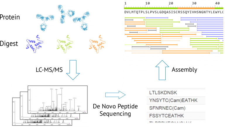 Lc Ms Ms Protein Sequencing (769x438), Png Download