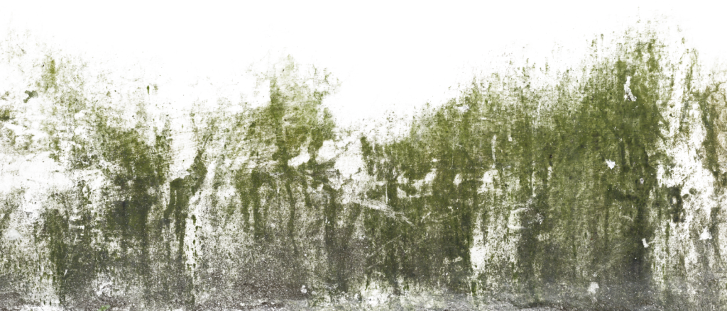 Download Decalbottom0017 1 S Decalbottom0018 1 S Decalbottom0022 ...