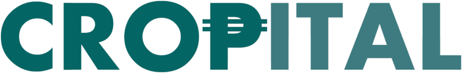 Cropital Logo4 - Graphic Design (1024x410), Png Download