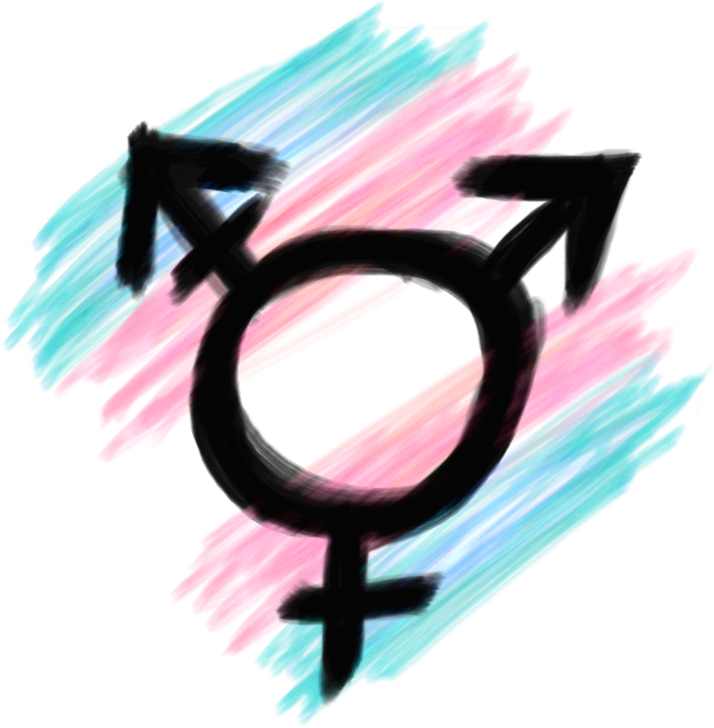 Transgender Trans Transboy Ftm Mtf Transgenderdrawing (1024x1044), Png ...