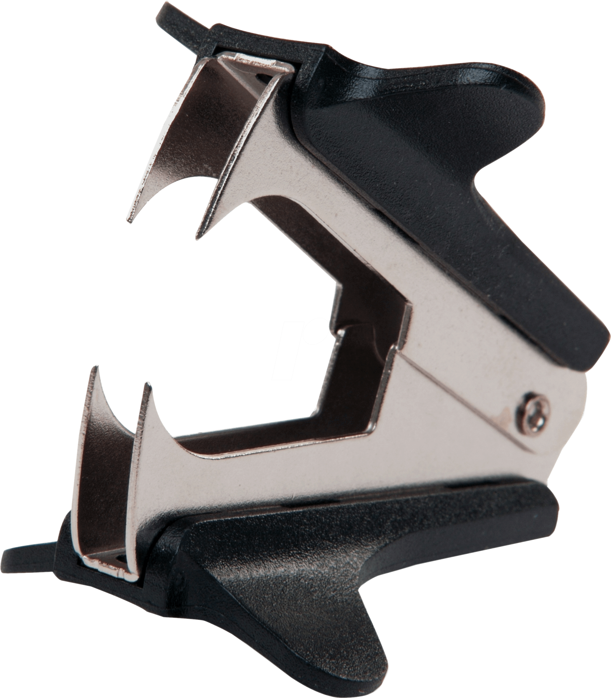 Pavo - Nipper (2414x2673), Png Download