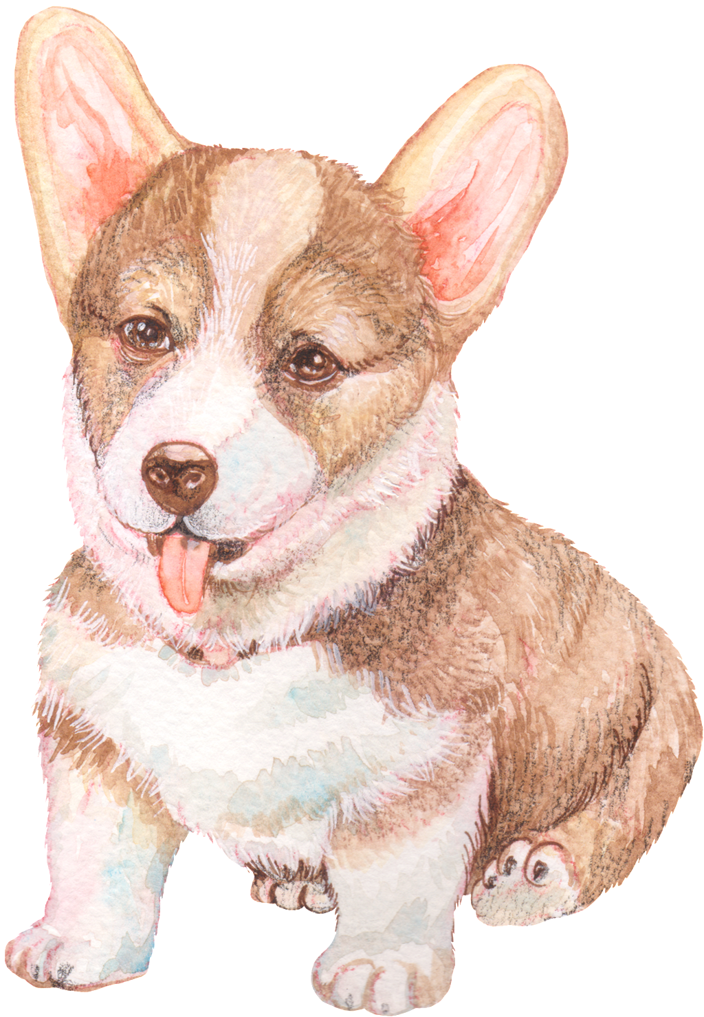 Portable Network Graphics (1024x1479), Png Download