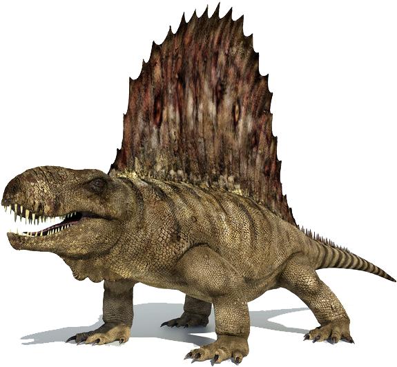 Download Dimetrodon Photo 4583759 Orig - Dimetrodon Dinosaur ...