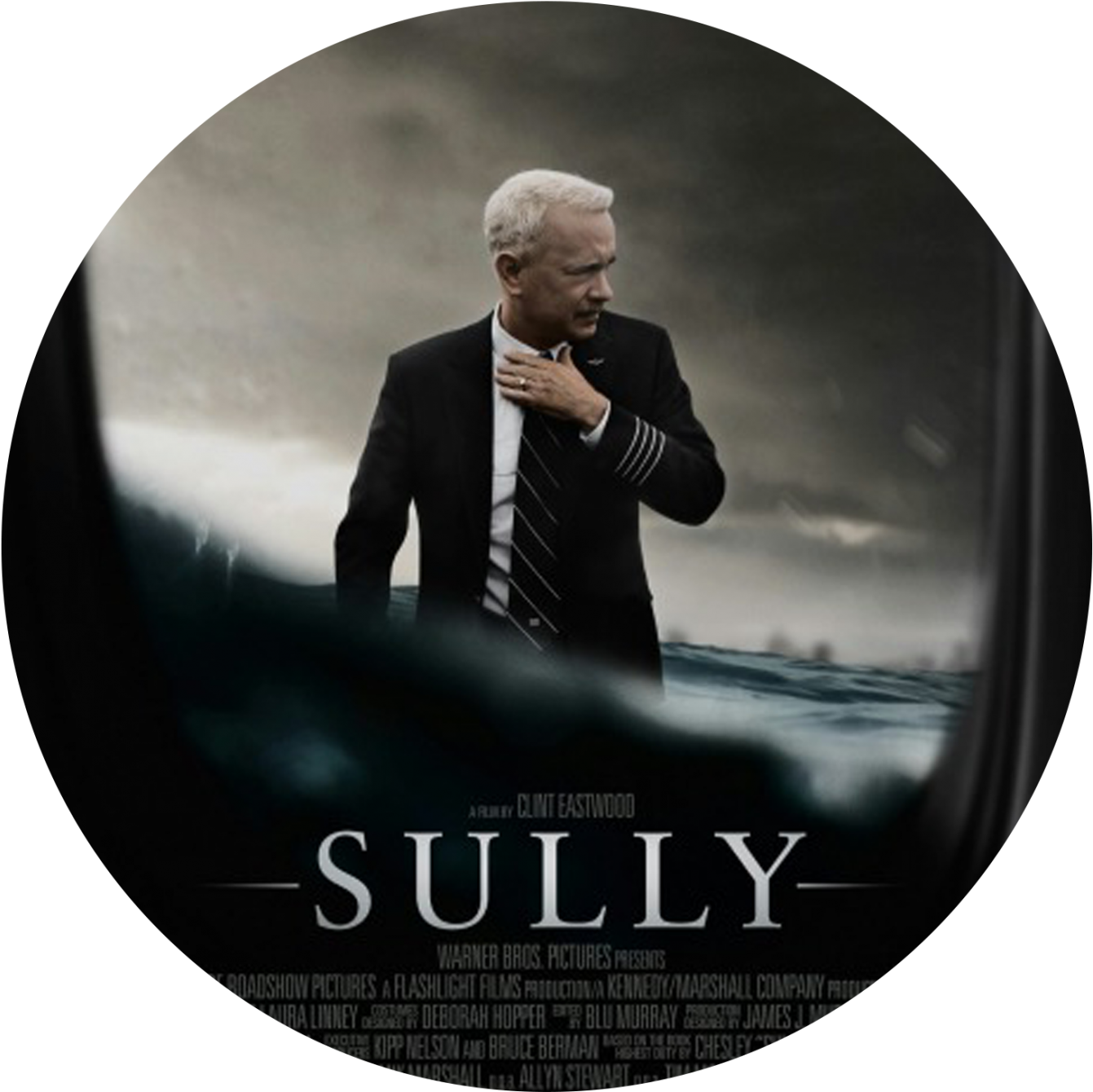 Download Sully-4 - Sully Affiche | Transparent PNG Download | SeekPNG