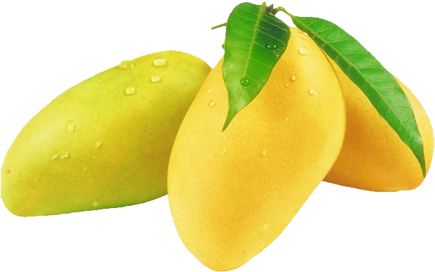 Mango Png Image & Mongo Clipart - Mango Fresh Fruit (658x658), Png Download
