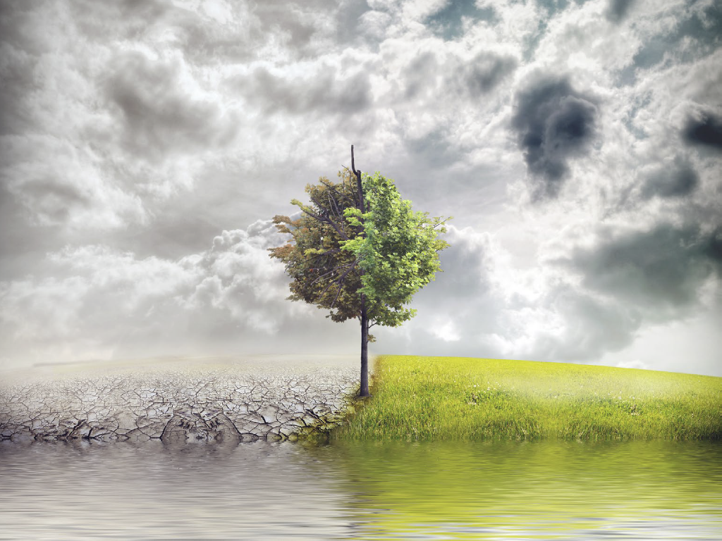 Transform Challenges Into Opportunities (1024x768), Png Download