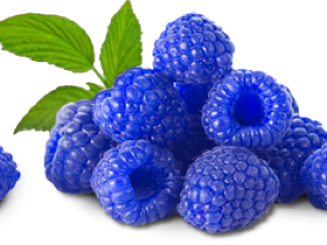 Raspberries Clipart Clip Art - Mr Salty Blue Razz Lemonade (640x480 ...
