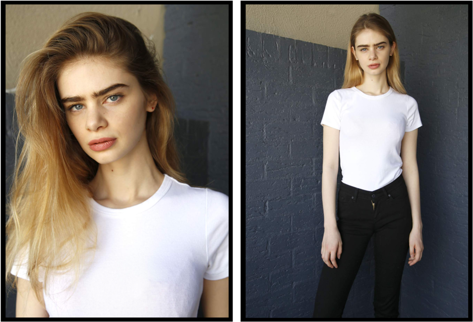 Download Indigo | Transparent PNG Download | SeekPNG