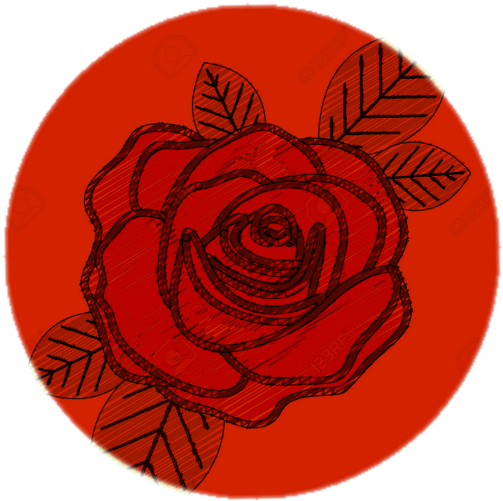 Circulo Rojo Png (1024x1021), Png Download