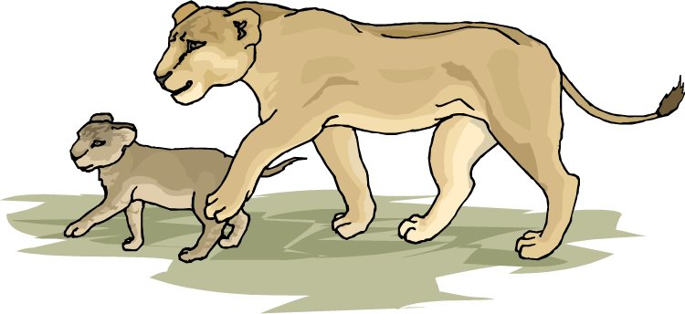 Download Lion Clipart Lion Cub - Lion And Cub Clip Art | Transparent ...