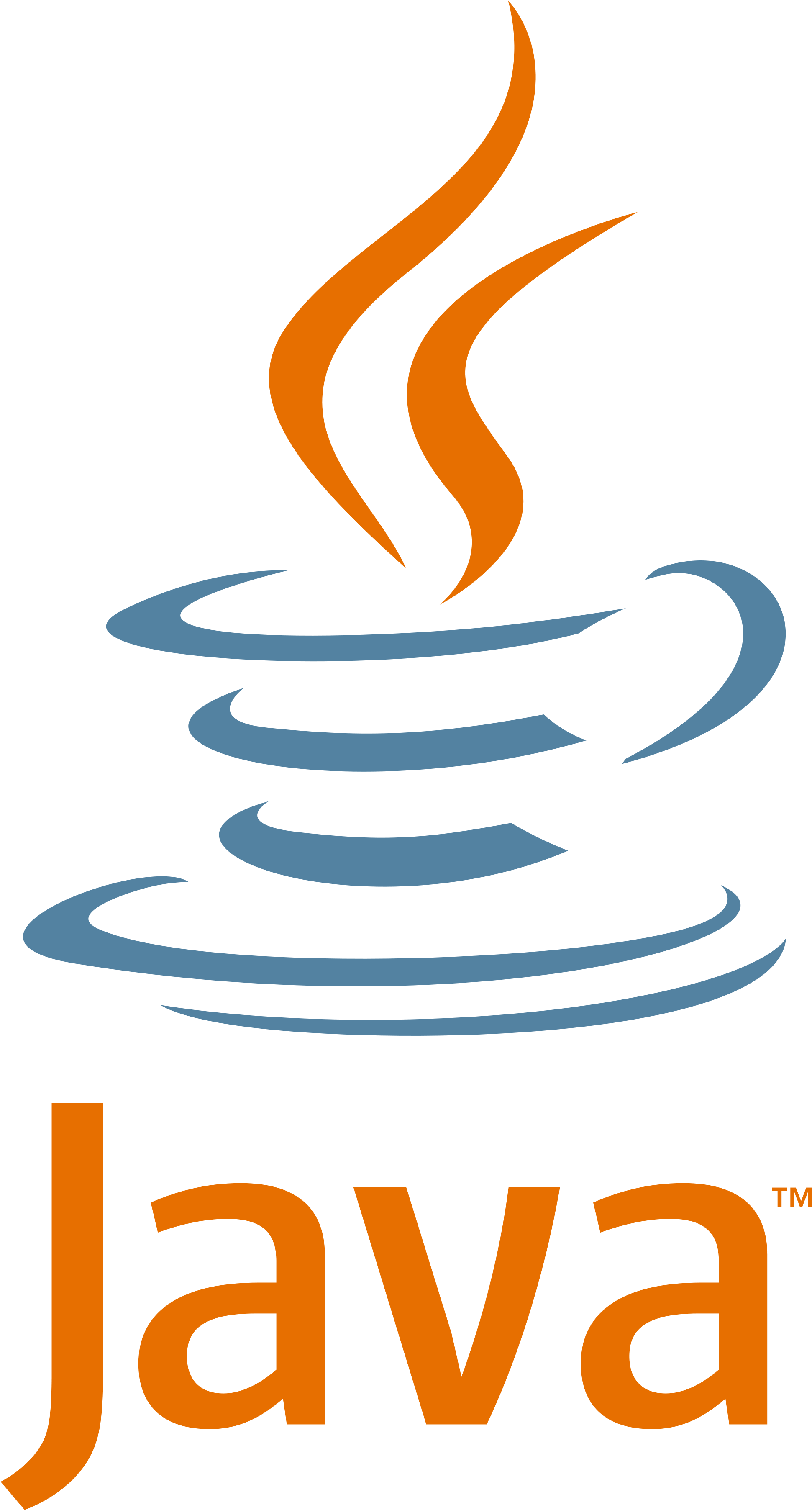 Java Logo - Java Enterprise Edition : A Practical Approach (500x917 ...