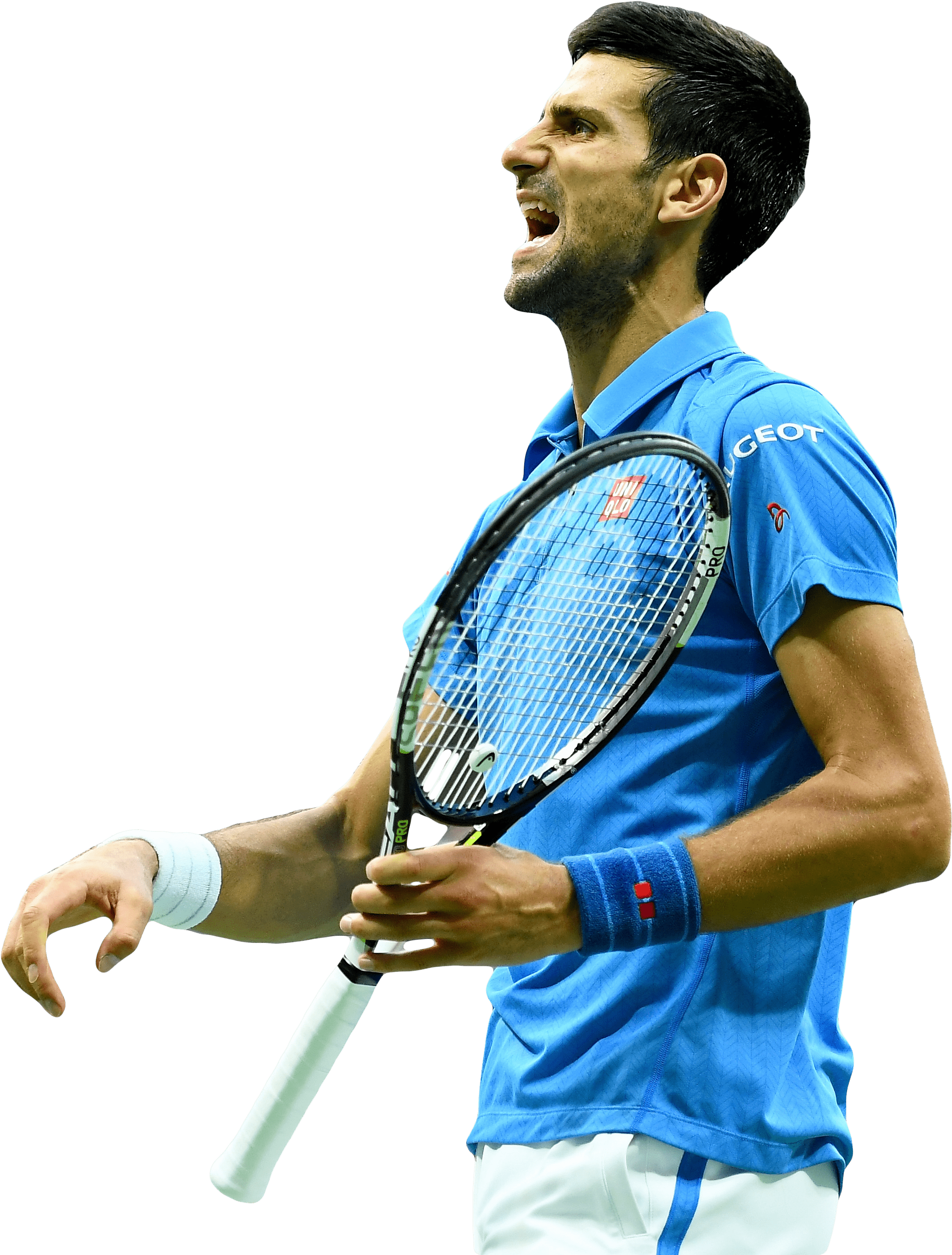 Download - Novak Djokovic Png (2270x3021), Png Download
