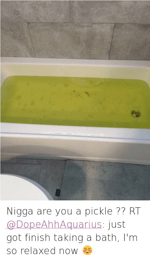 Funny, Nasty, And Twitter Responses - Bathtub (500x864), Png Download