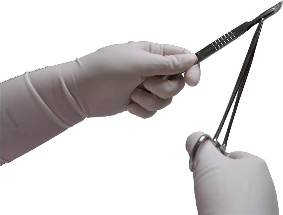 Removescalpel - Kokyu (1124x818), Png Download